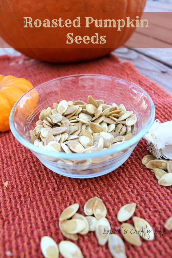 Roasted Pumpkin Seeds – Tip Junkie
