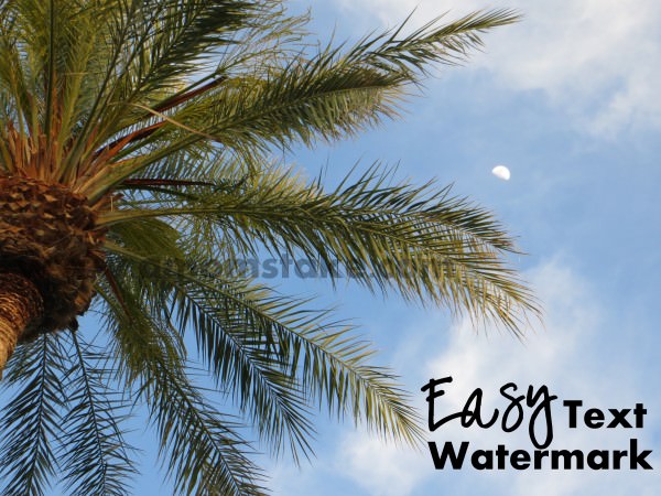 Easy Text Watermarks – Tip Junkie
