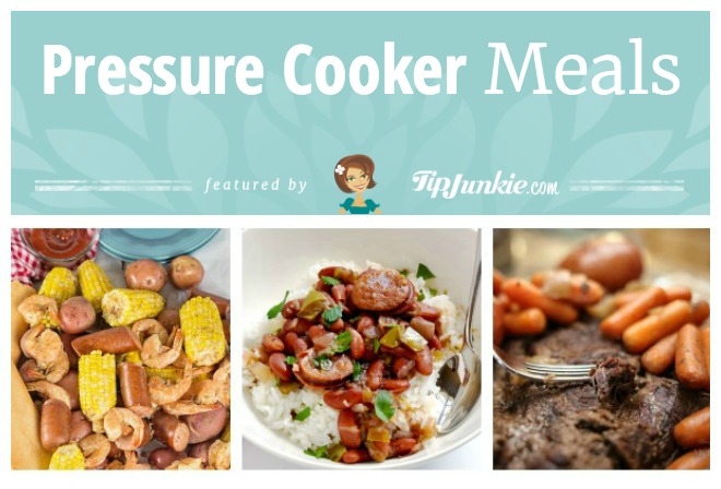 20 Easy Pressure Cooker Recipes – Tip Junkie