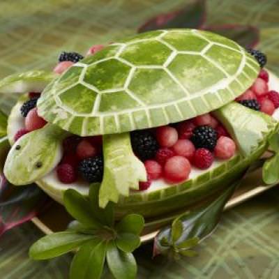 Watermelon Turtle {Edible Fruit Crafts} – Tip Junkie